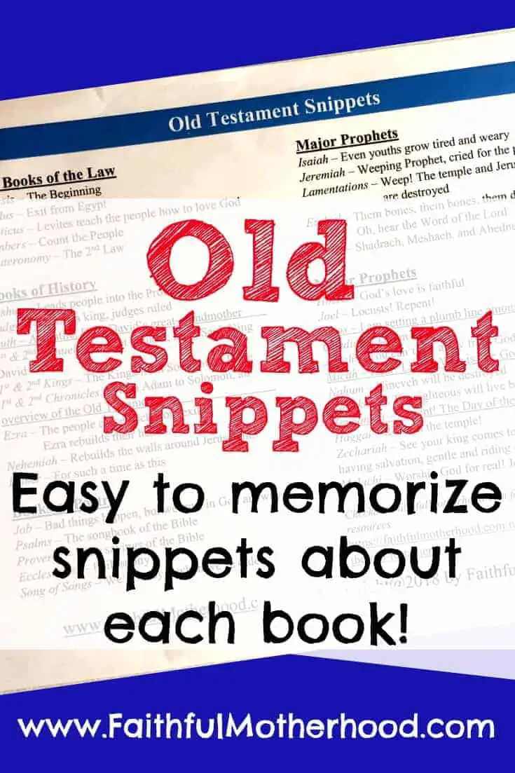 Old Testament Summary Snippets: 39 Powerful One-Liners to Quickly ...